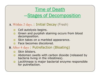 Determination of time since death/ postmortem time interval | PDF