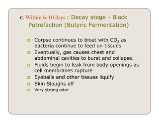 Determination of time since death/ postmortem time interval | PDF