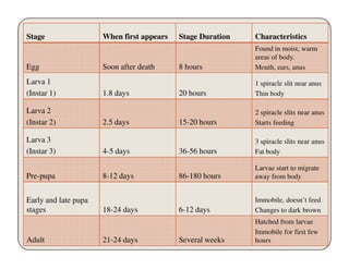 Determination of time since death/ postmortem time interval | PDF