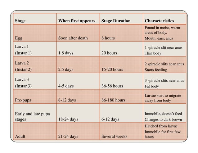 Determination of time since death/ postmortem time interval | PDF | Eye ...