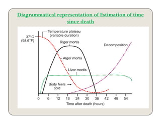 Determination of time since death/ postmortem time interval | PDF