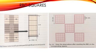 Determination of total erythrocyte (rbc) count.pdf