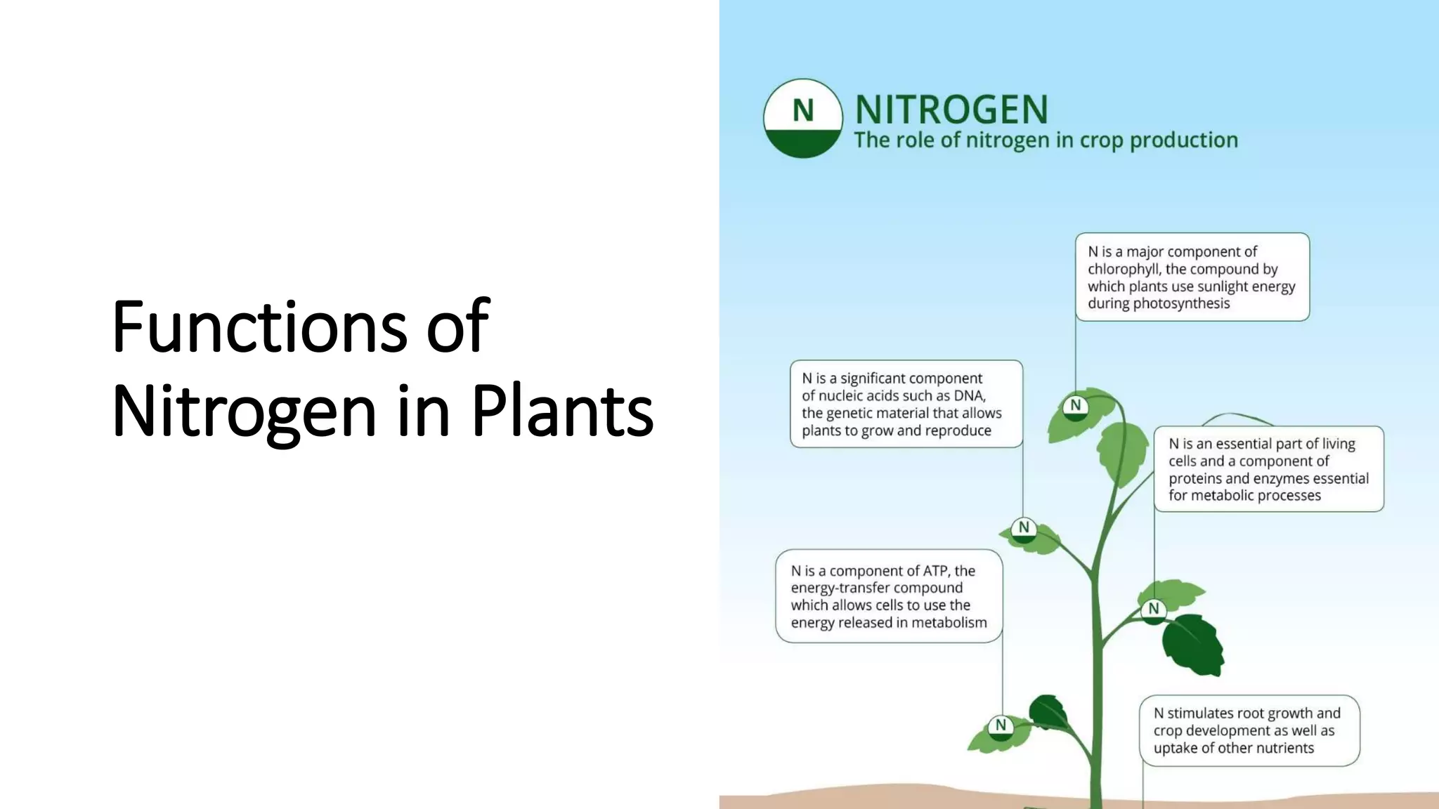 Determination of Total Nitrogen in Soil by Semi Micro Kjeldahl Method ...