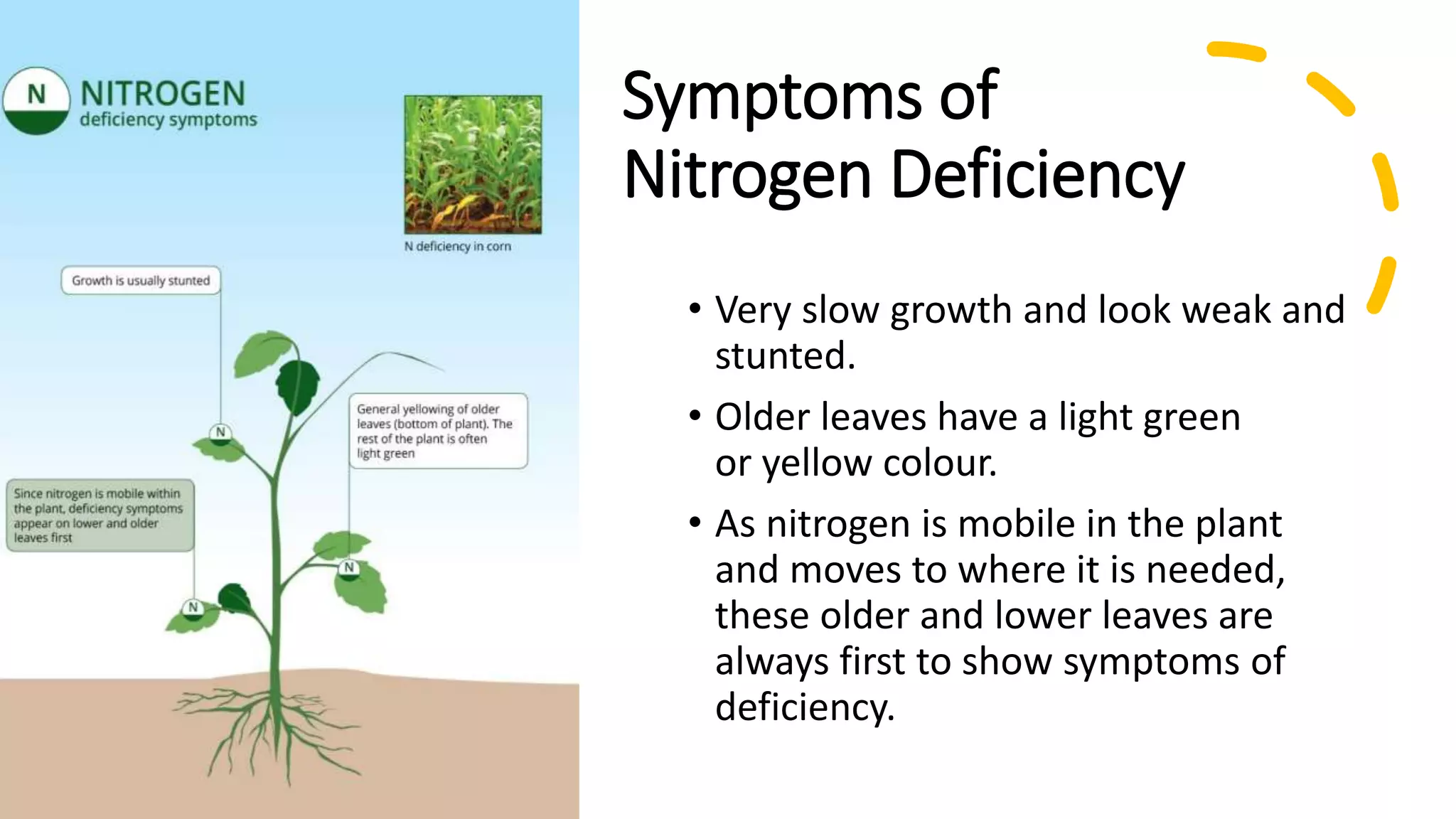 Determination of Total Nitrogen in Soil by Semi Micro Kjeldahl Method ...