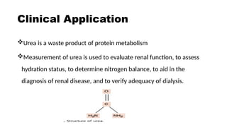 DETERMINATION OF UREA and its excretion.pptx