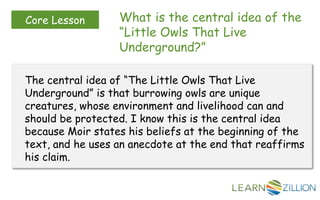 Determine central idea lessonslides pptx | PPTX