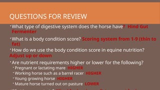 Determine nutrient requirement for horses.ppt