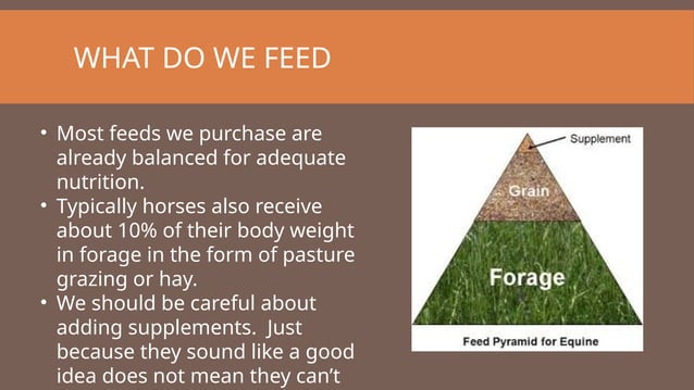Determine nutrient requirement for horses.ppt | Equine Sports | Sports