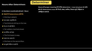 Determiner (निर्धारक) | English Grammar with Hindi Meaning & Examples | PDF