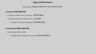 Determiners in English Grammar – Types, Rules & Examples | PDF