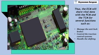 Determine the Symptoms of Bad ECM in your Volkswagen by San Rafael ...