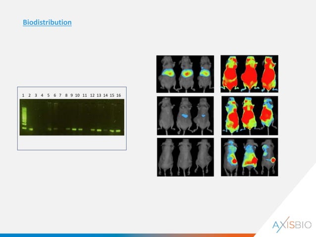 MDC Connects Series 2021 | A Guide to Complex Medicines: Determining ...