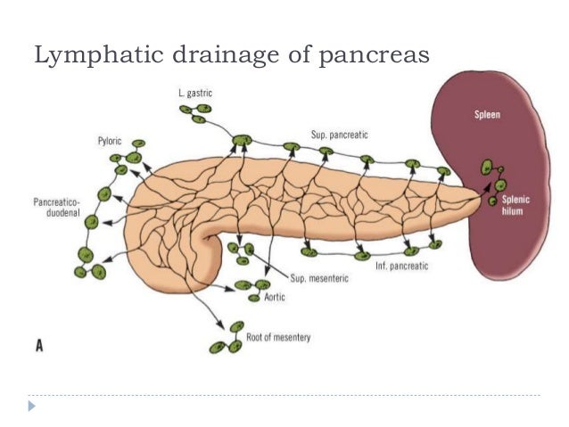 Determining resectability in pancreatic cancer