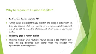 return on investment(ROI), determining costs, measuring human capital ...