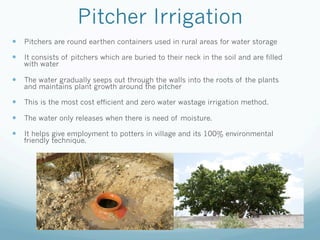 Dethali Village Project Jambuvan...Journey From Drought prone to Bird ...