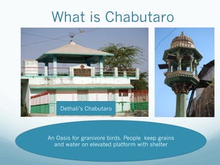 Dethali Village Project Jambuvan...Journey From Drought prone to Bird ...