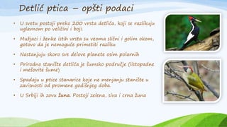 Detlić, Jana Stevanović | PPTX