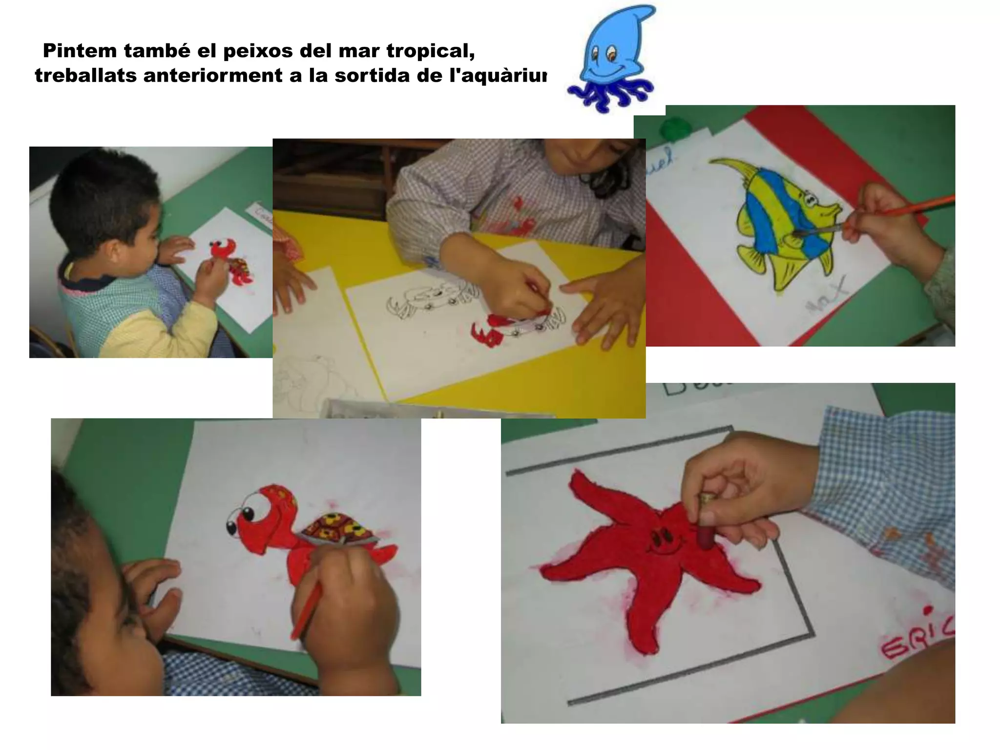 De tots colors | PPT