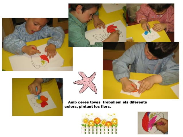 De tots colors | PPT