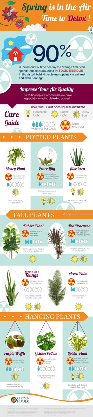 Spring is here! Detox your air and jump start your spring cleaning! | PDF