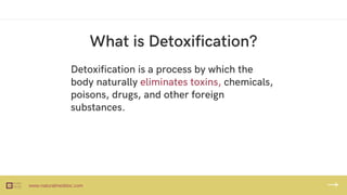 Understanding Detox & It's Importance | PPT