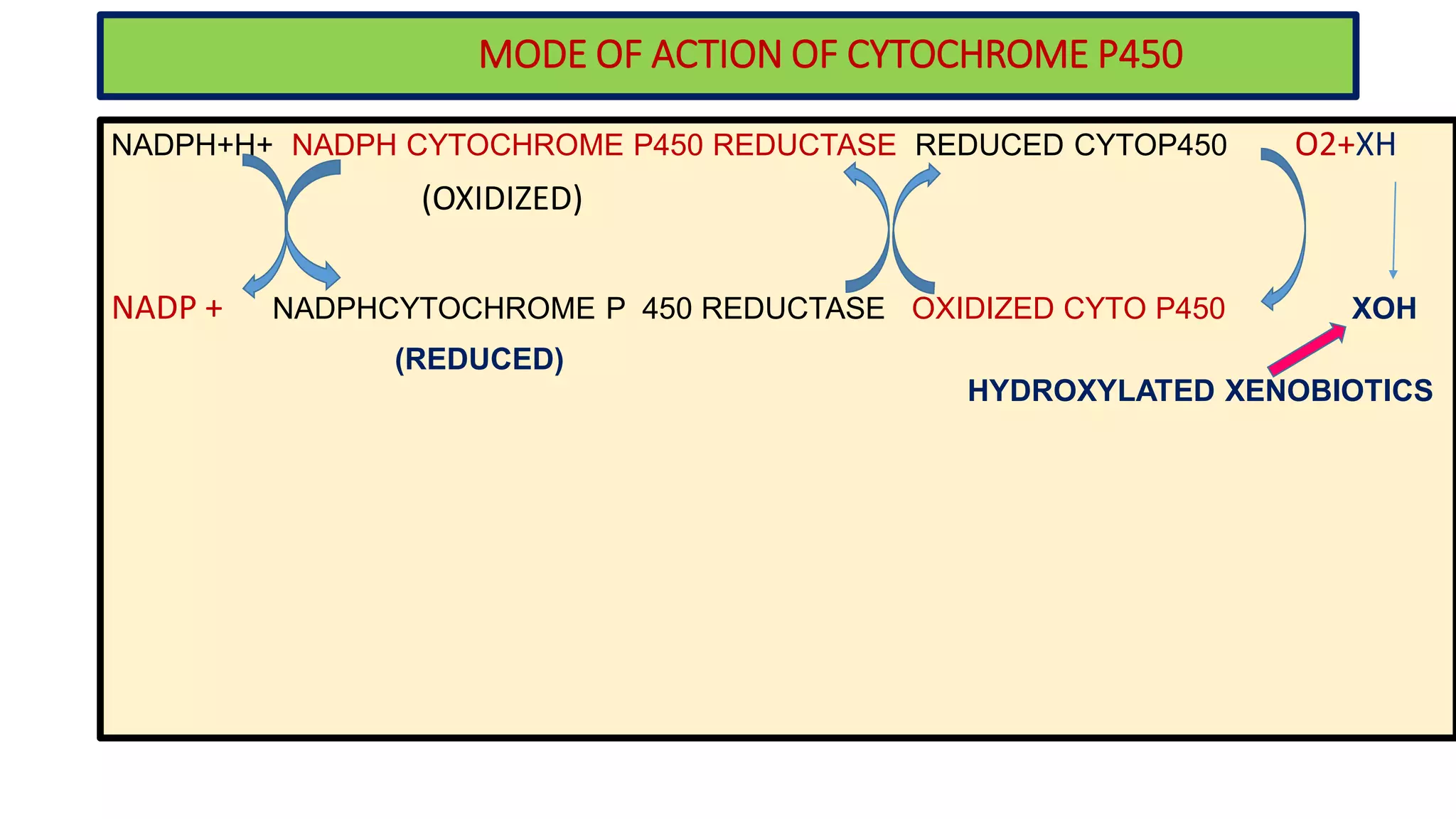 Detoxification | PDF