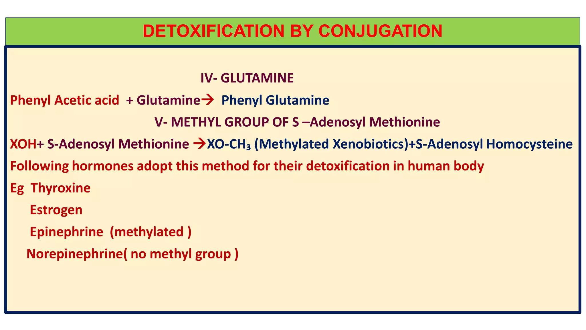 Detoxification Pdf