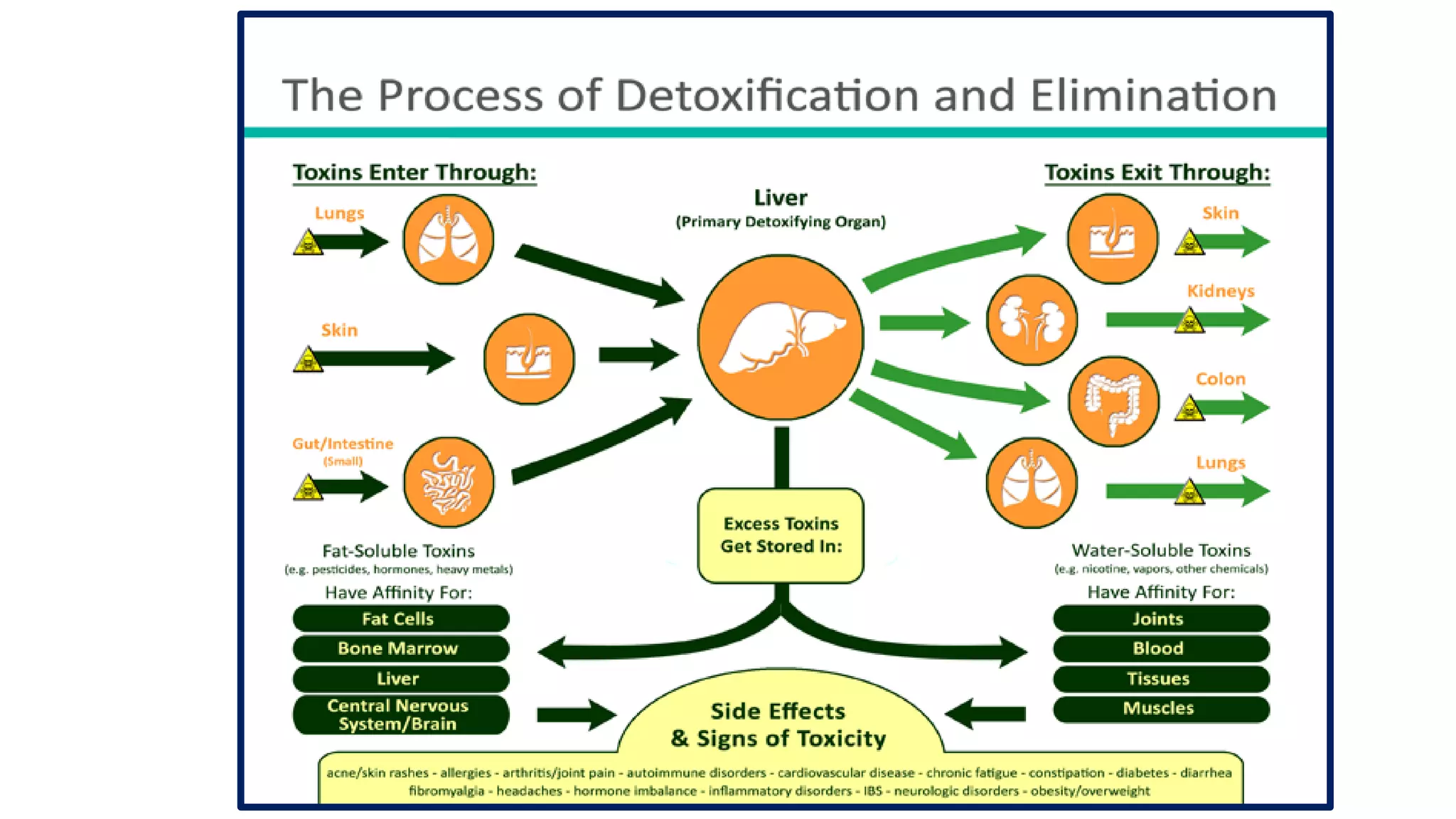 Detoxification | PDF