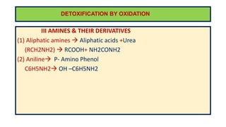 Detoxification | PDF