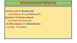 Detoxification | PDF