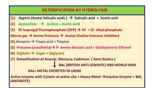 Detoxification | PDF