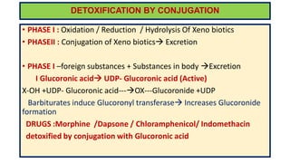 Detoxification | PDF