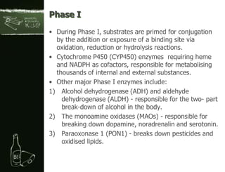 Detoxification by liver | PPTX