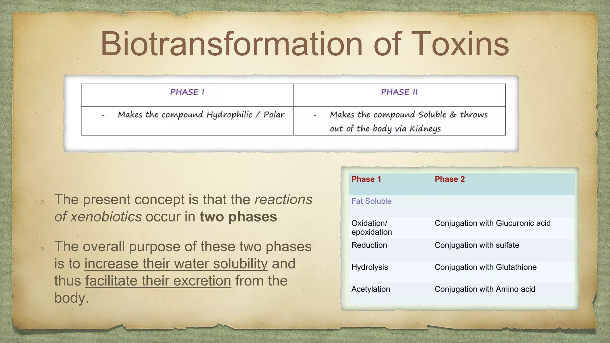 Detoxification (by Liver) - Phase 1.pptx