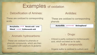 Detoxification (by Liver) - Phase 1.pptx