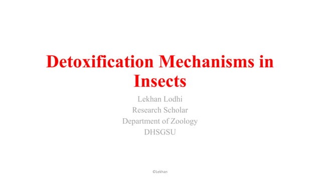 Detoxification mechanisms in Insects | PPTX