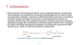 Detoxification mechanisms in Insects | PPTX