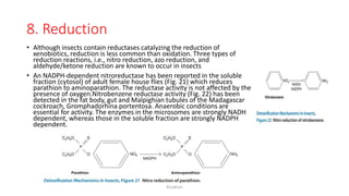 Detoxification mechanisms in Insects | PPTX