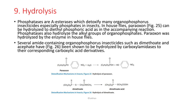 Detoxification mechanisms in Insects | PPTX