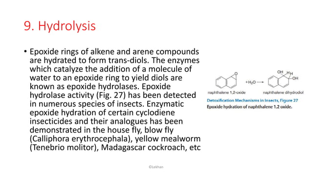 Detoxification mechanisms in Insects | PPTX