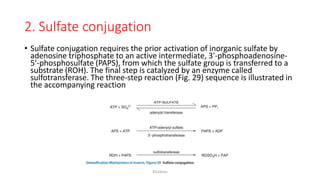 Detoxification mechanisms in Insects | PPTX