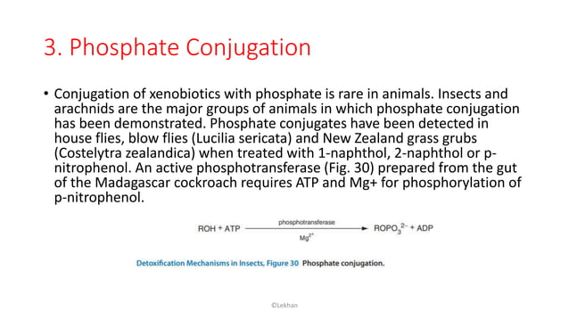 Detoxification mechanisms in Insects | PPTX