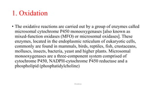 Detoxification mechanisms in Insects | PPTX