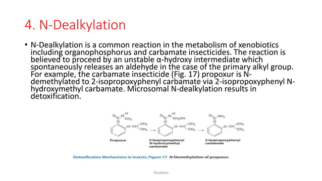 Detoxification mechanisms in Insects | PPTX