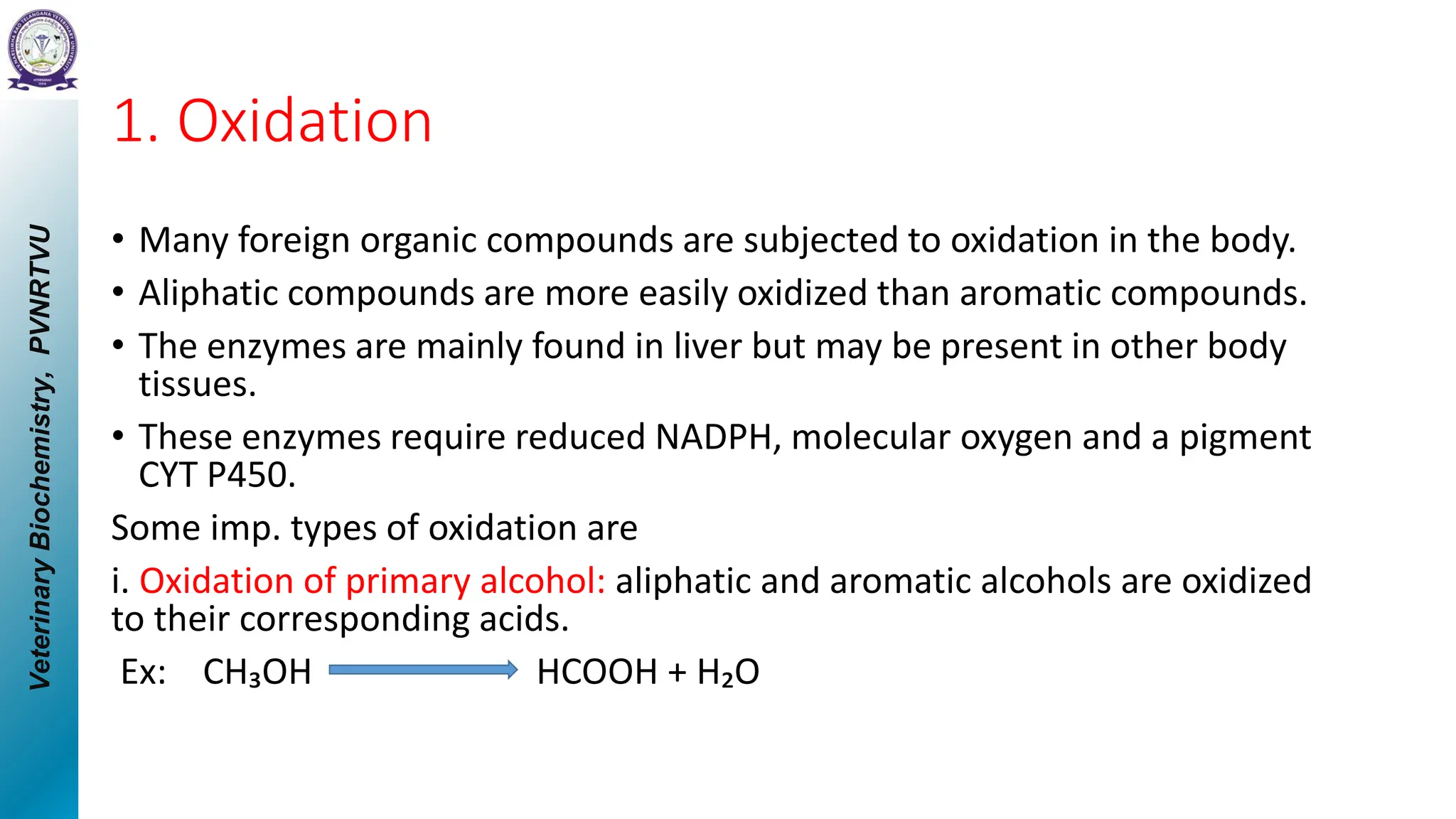 detoxification in the body: metabolism of xenobiotics | PDF | Endocrine ...