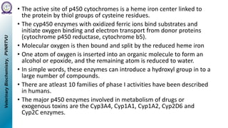 detoxification in the body: metabolism of xenobiotics | PDF