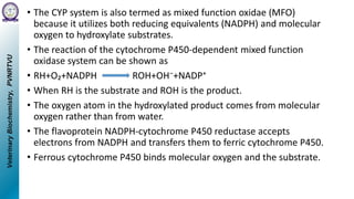 detoxification in the body: metabolism of xenobiotics | PDF