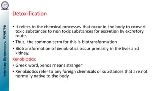 detoxification in the body: metabolism of xenobiotics | PDF