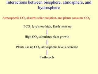 Detritus Bacteria biodegradation.ppt