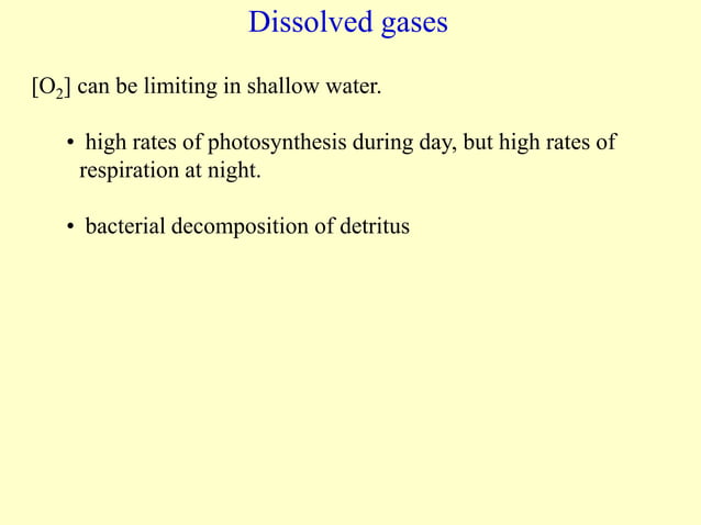 Detritus Bacteria biodegradation.ppt